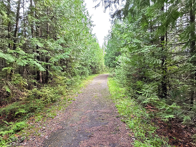 The trail stretches ahead like nature's welcome mat, inviting visitors deeper into a landscape that remains wonderfully wild and undeveloped.