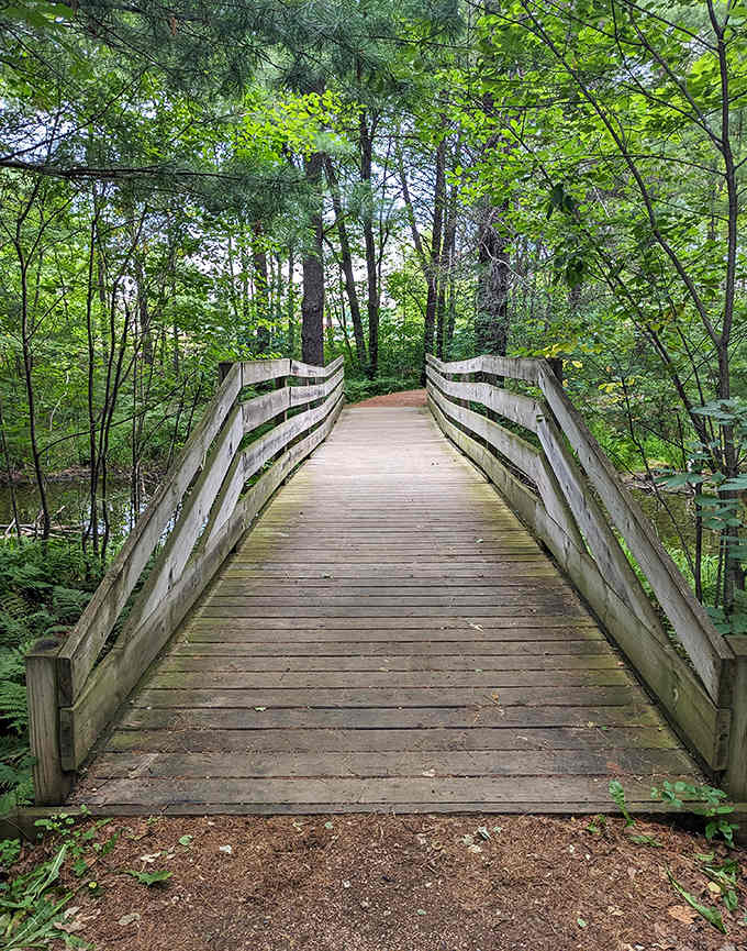 The wooden footbridge creates a drumbeat rhythm underfoot as you cross from one artistic realm into another.