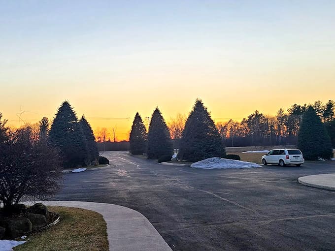 The entrance road lined with evergreens sets the tone, promising you're heading somewhere that cares about more than just rides.