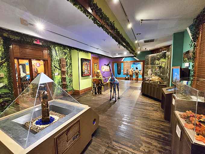 The museum's thoughtfully designed interior creates a journey of discovery, with each exhibit flowing naturally into the next unexpected wonder.