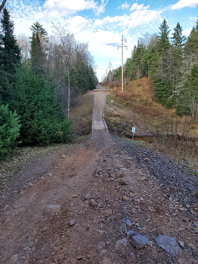 This unassuming forest corridor becomes nature's theater after dark, where unexplained lights have performed nightly for decades.