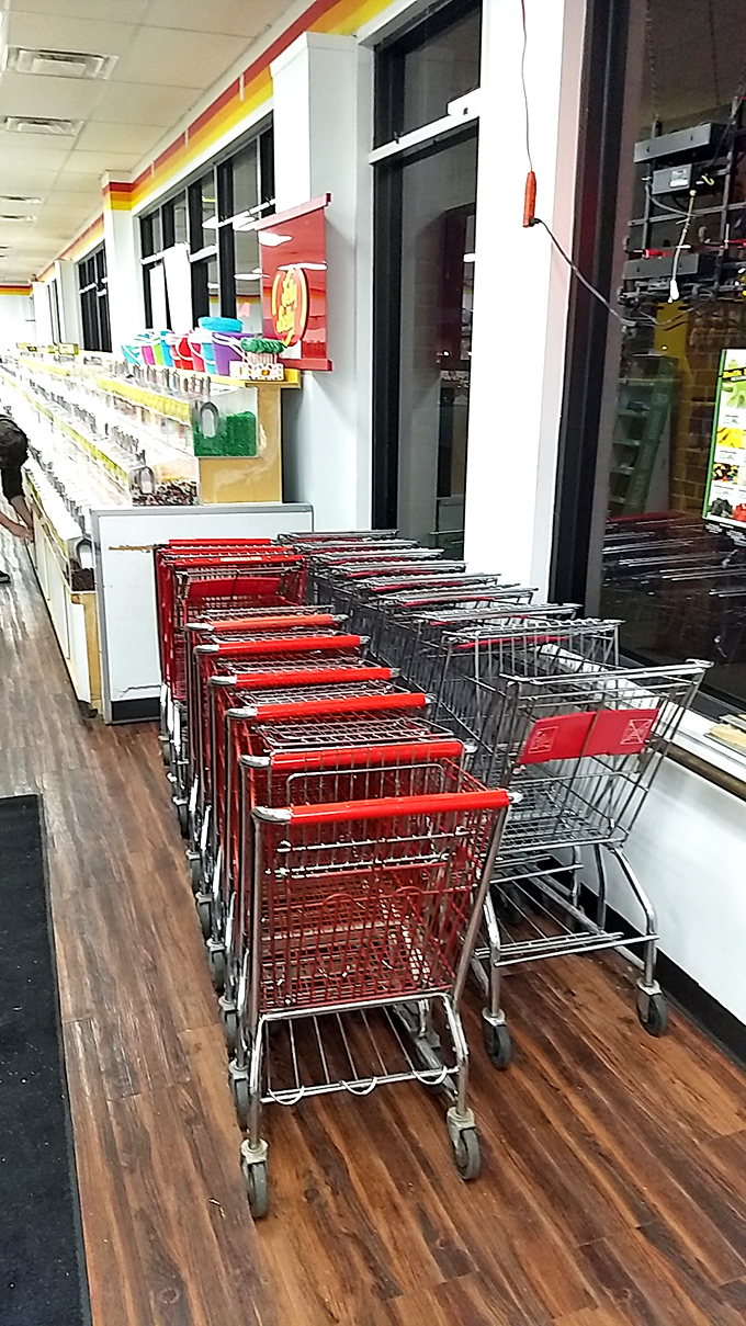The shopping carts stand ready for duty, about to embark on journeys filled with more joy than your average grocery run.
