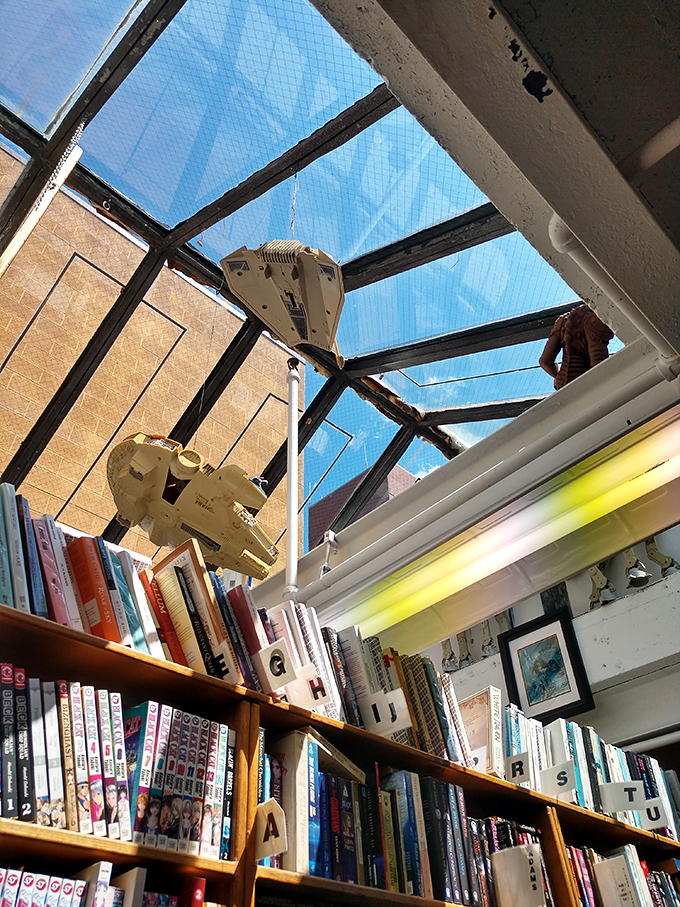 Sunlight filters through the skylight, creating cathedral-like beams that illuminate dust motes dancing above shelves of human knowledge and imagination.