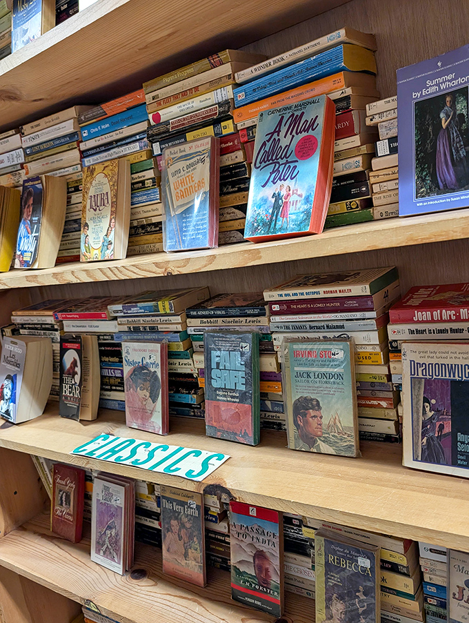 Classic novels stand proudly with their vintage covers, from Jack London's adventures to romantic classics &ndash; literary time capsules awaiting new readers.