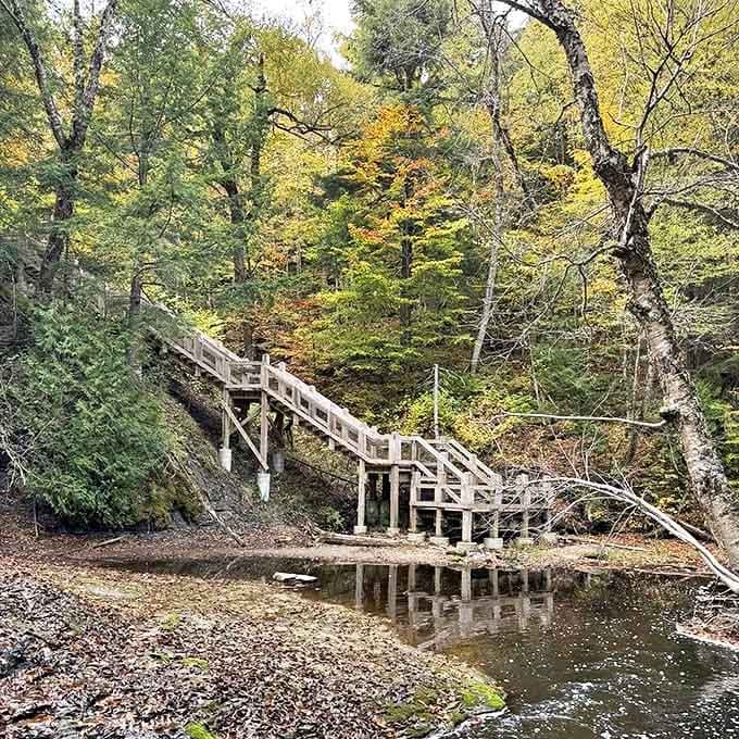 This wooden stairway isn't just functional – it's an invitation to discover the secret world that exists between forest and flowing water.