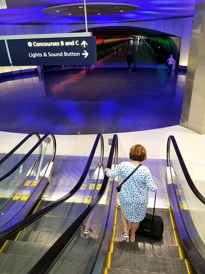 The sign points the way to one of airport architecture's greatest hits &ndash; a reminder that sometimes the best experiences require you to follow the right directions.