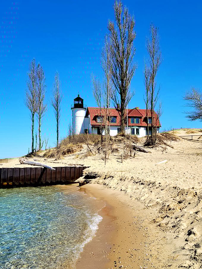 Tall Lombardy poplars frame the lighthouse against a grassy shoreline, creating nature's perfect composition.
