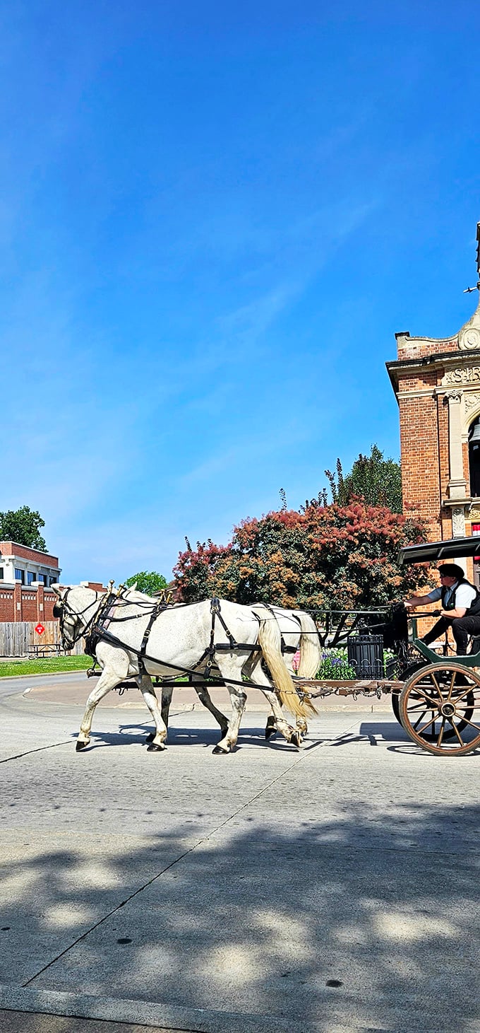 Horse-drawn carriages occasionally visit during special events &ndash; blending old-world charm with modern play in a delightful time-traveling experience.
