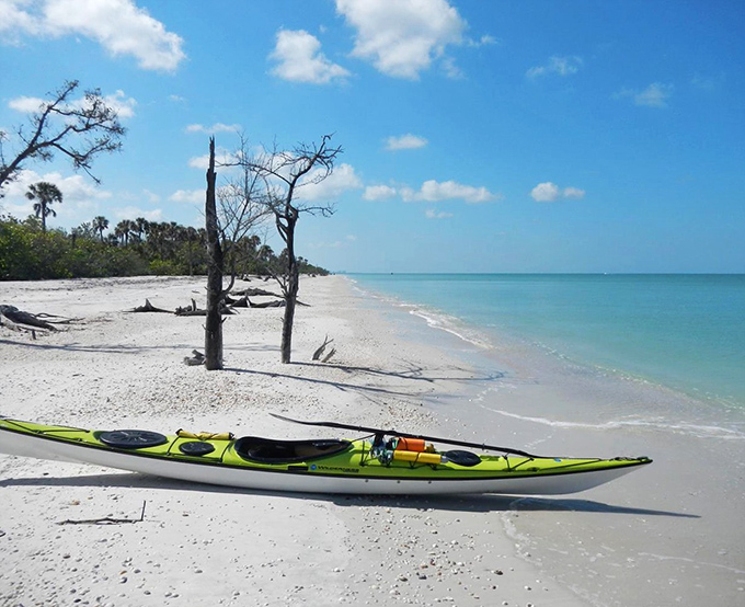 Kayaking Keewaydin's shores &ndash; where every paddle stroke feels like turning a page in nature's most beautiful picture book.