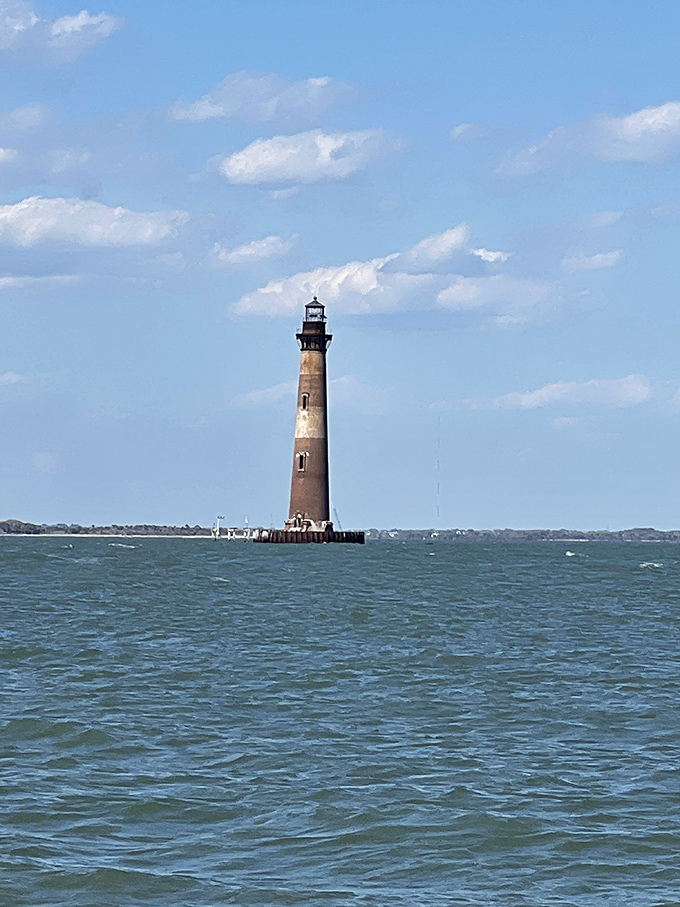 Morris Island Lighthouse stands defiantly against the elements, a stoic sentinel that's witnessed countless tides and storms reshape the coastline.