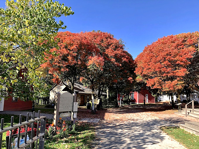 Vibrant fall foliage frames the entrance to Mill Race Village, nature's way of saying "your Instagram feed needs this" before Instagram was even invented.