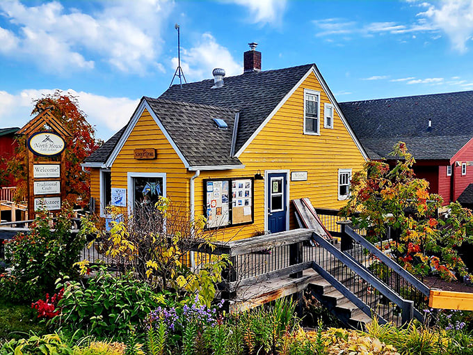 North House Folk School's colorful campus keeps traditional crafts alive while creating new memories on the harbor's edge.