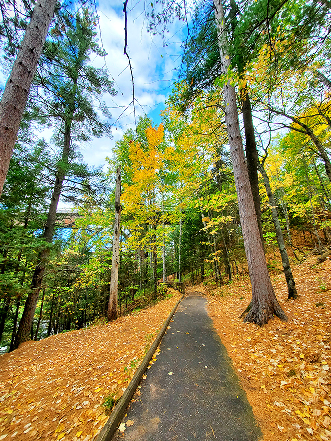 Autumn paints the pathway with golden hues &ndash; creating a scene so perfect it seems like the trees are showing off just for you.