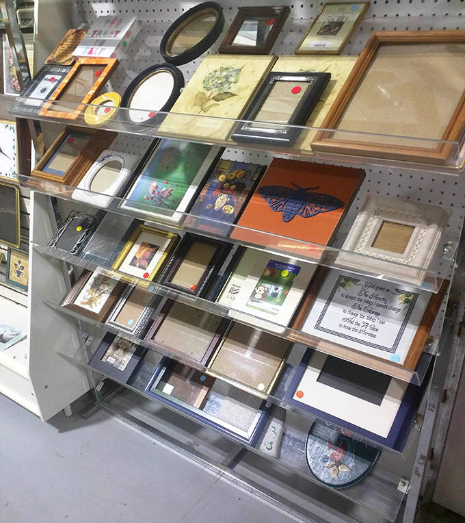 Picture frames galore &ndash; from ornate vintage to sleek modern. Smart decorators know these are the secret to gallery walls that look expensive but aren't.