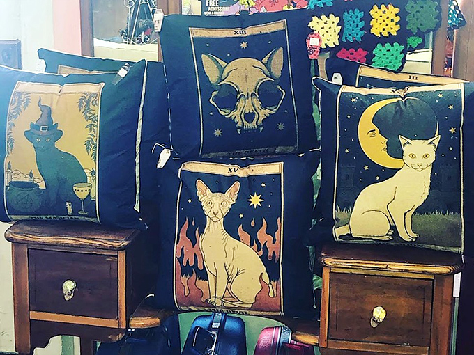Decorative pillows featuring mystical cats and occult symbols transform ordinary couches into thrones worthy of modern-day witches and wizards.