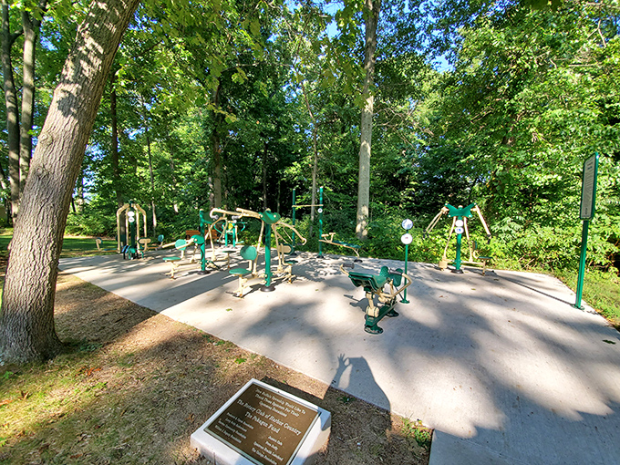 The playground equipment nestles among the trees, offering kids a chance to burn energy before the nature walk or after, depending on parental strategy.