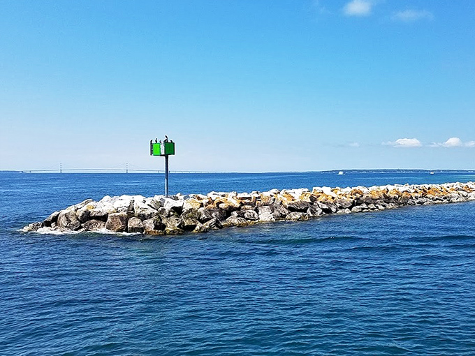 This unassuming breakwater marker lacks its neighbors' architectural flair but plays a crucial supporting role in the water safety ensemble cast.