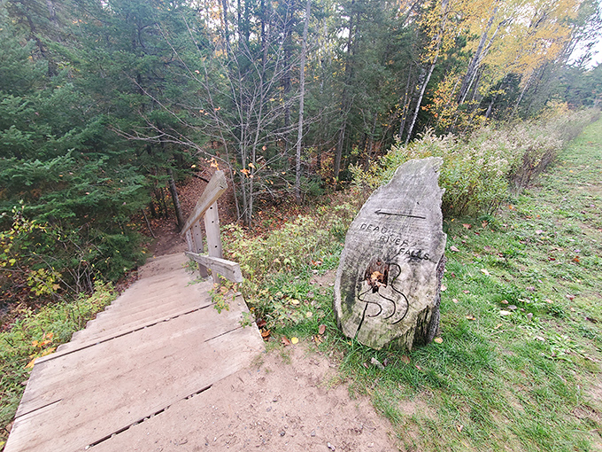 Wooden stairs descend toward the falls, each step bringing you closer to the thunderous roar of rushing water.