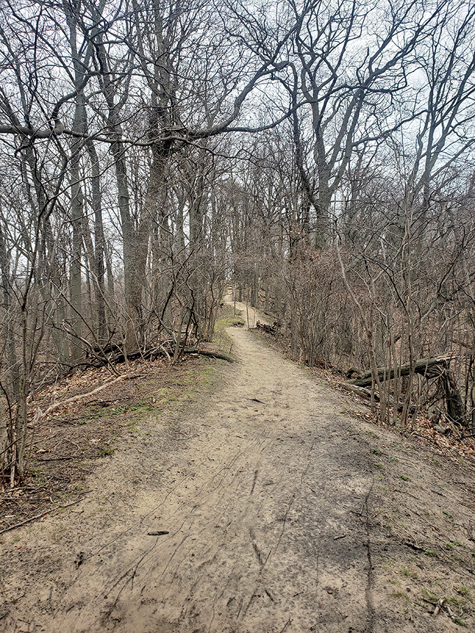 Trails that whisper stories of seasons past. Even in early spring, there's something magical about these winding woodland paths.