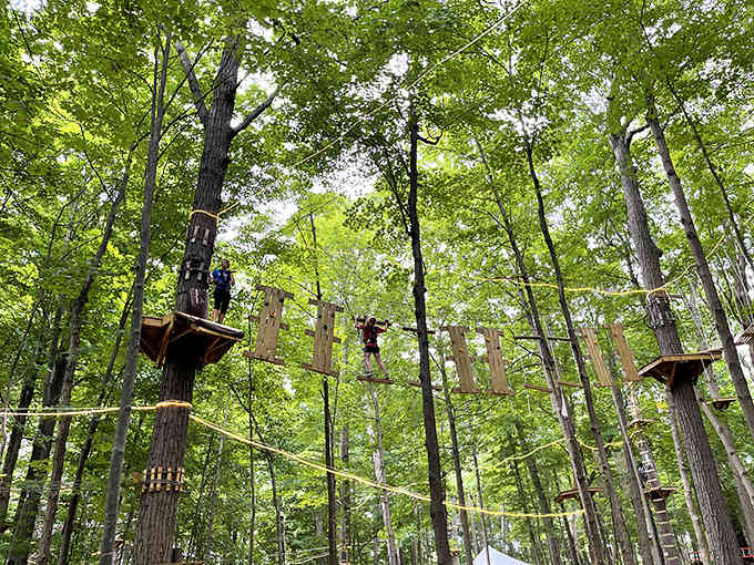 Navigating aerial obstacles tests strength, balance, and one's ability to maintain dignity while dangling mid-air.