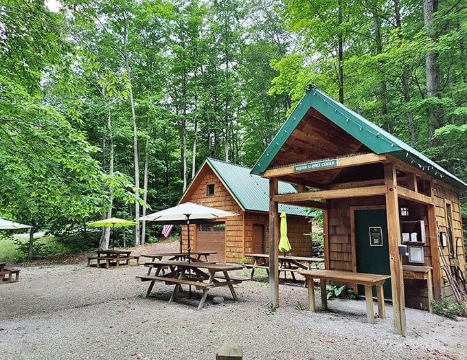 The Visitor Service Center welcomes art enthusiasts with its rustic charm, serving as both information hub and gathering place for park visitors.
