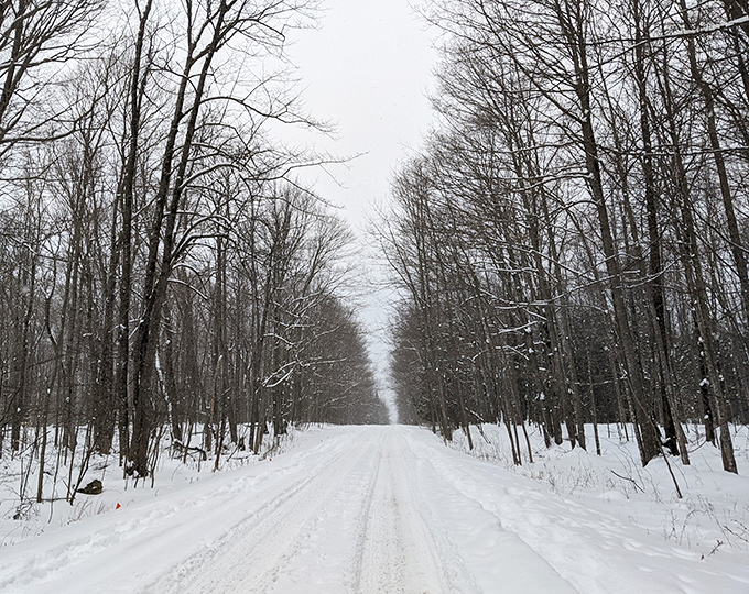 Winter's hushed magnificence transforms familiar paths into snow tunnels, where each footstep writes a temporary chapter in the season's story.