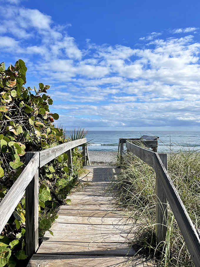 This unassuming wooden pathway delivers visitors to one of Florida's most unexpected natural wonders &ndash; no neon signs or ticket lines required.