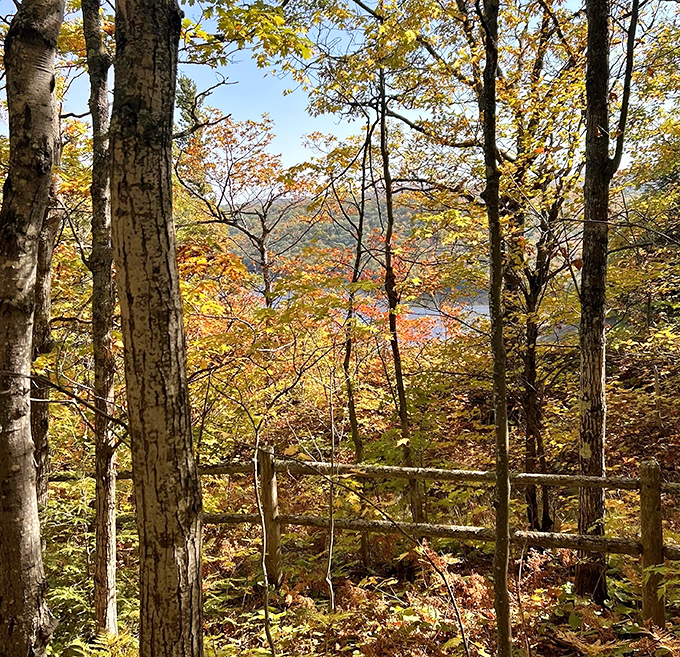 Fall foliage creates a tapestry of amber and crimson, as if the forest decided to dress in its Sunday best just for your visit.
