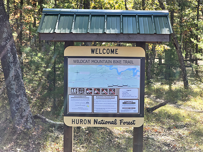 A trail map that says, "You are here," which is exactly where you should be. Adventure awaits around every bend, no GPS required.