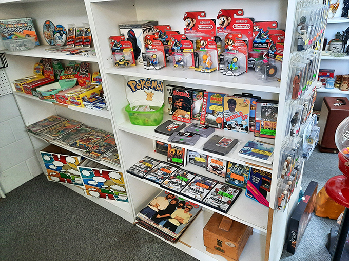 Collectibles span generations from vintage toys to classic video games, creating a timeline where Pokemon cards exist alongside antiques from centuries past somehow harmoniously.