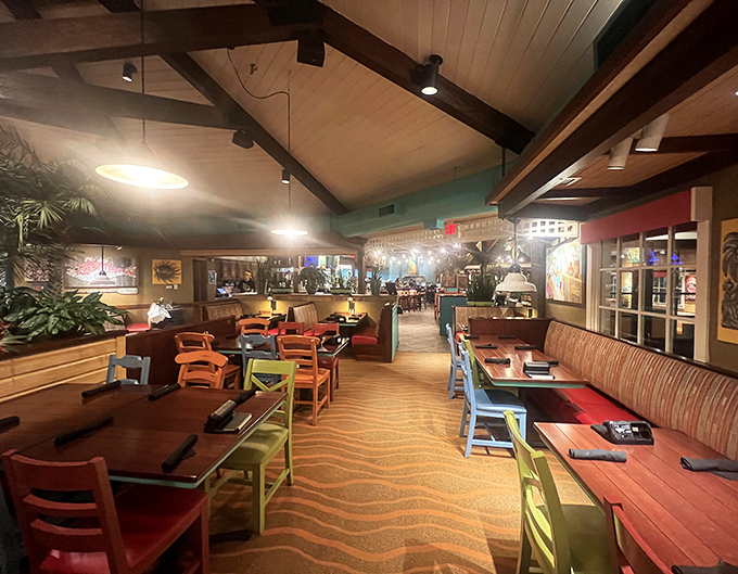 Colorful chairs and warm wood create a dining room that feels like the world's coziest Caribbean beach shack.