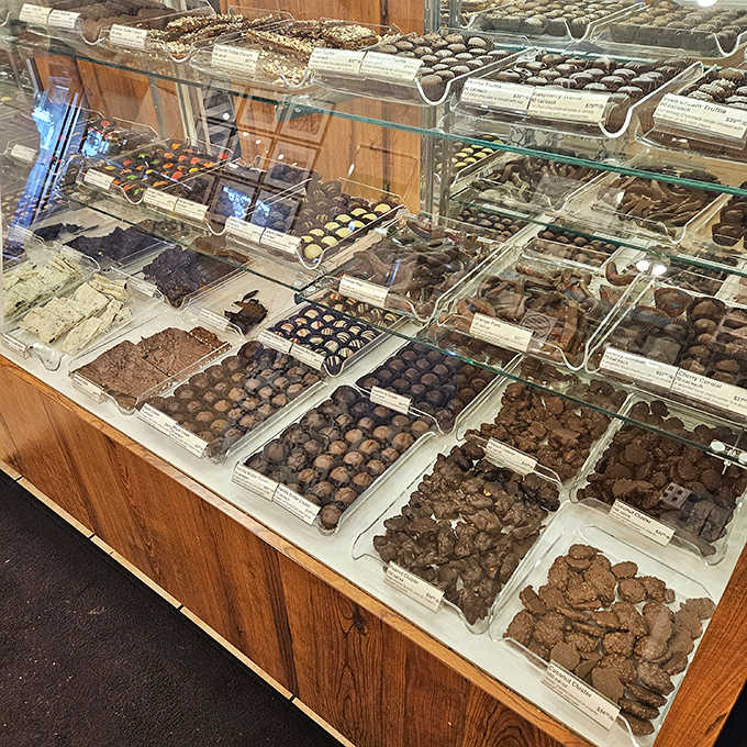 A treasure chest of chocolate wonders awaits behind glass, each tray a different pathway to sweet satisfaction.