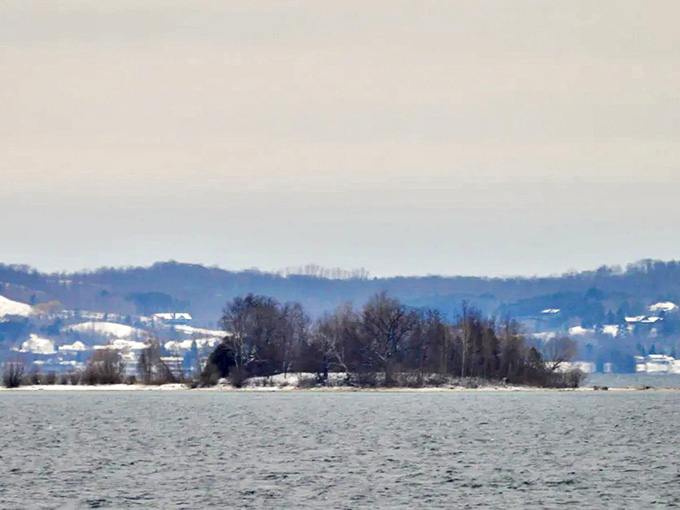 Winter transforms Bassett Island into a snow-globe scene, where the usual greens and blues give way to pristine whites and steely grays.