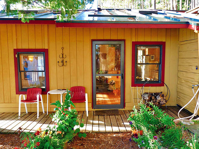 The entryway sets the tone with its cheerful colors and potted plants, a perfect transition between forest and cozy interior.
