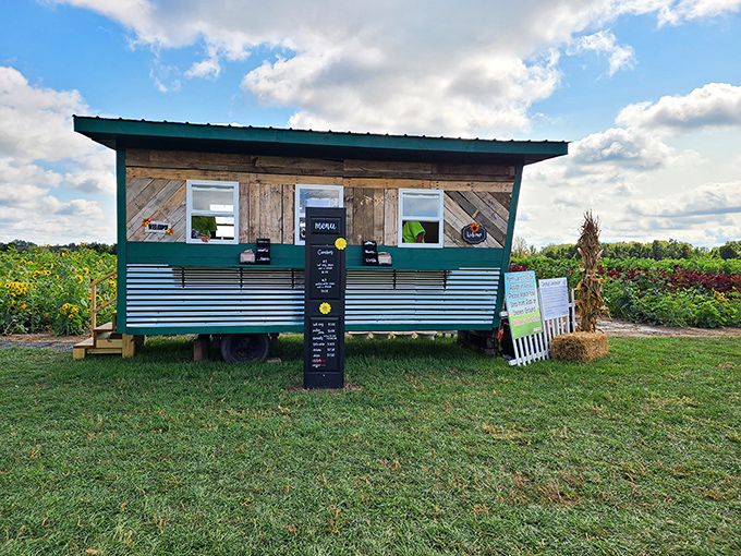 Rustic charm meets farm-fresh goodness at this wooden stand, where seasonal treats await visitors ready for refreshment after flower adventures.