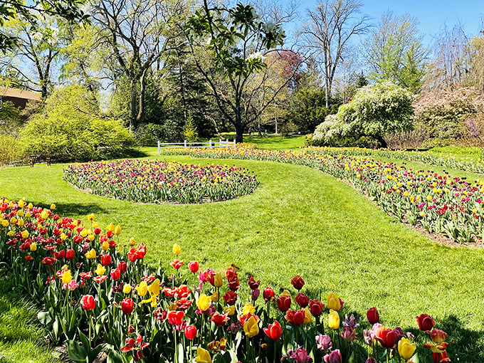 Spring brings a riot of tulips to the gardens below, creating a colorful counterpoint to the forest experience.