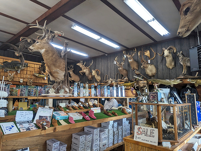 The gift shop offers treasures almost as fascinating as the museum itself – northwoods souvenirs for every taste.