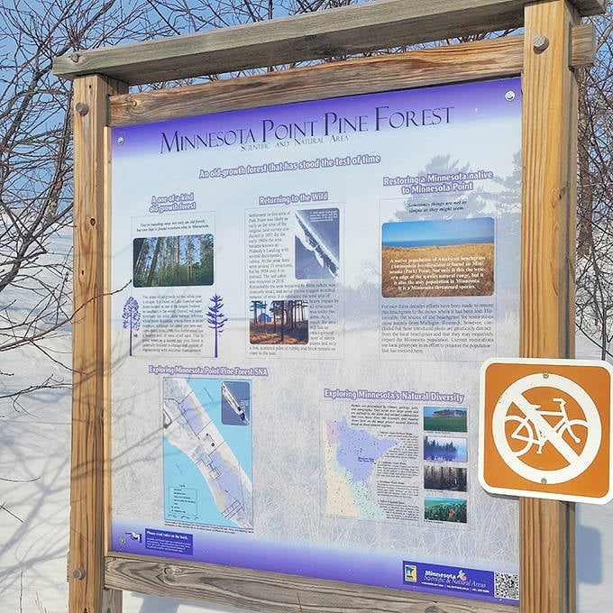 Nature's classroom: This informational display helps visitors understand the ecological importance of preserving these unique coastal environments.