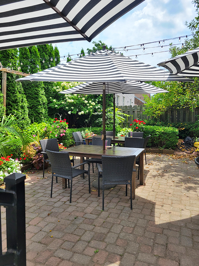 The charming outdoor patio offers a garden oasis in warmer months, though many regulars still prefer the distinctive basement ambiance that's become part of the restaurant's identity.