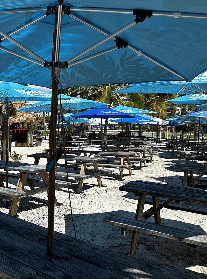Blue umbrellas standing at attention like a fleet of tropical sentinels, guarding your right to relax properly.