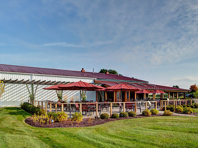 The outdoor seating area provides the perfect vantage point for soaking in vineyard views while sipping award-winning wines.