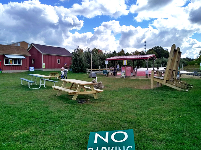 Outdoor seating surrounded by orchards offers the perfect spot to enjoy your treats while pretending you're living that simple farm life you romanticize.