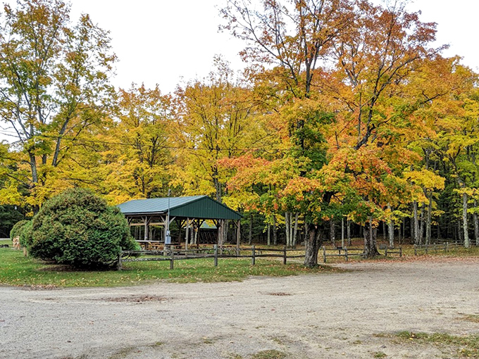 Autumn's palette transforms the park pavilion into a Norman Rockwell painting come to life – picnics optional, wonder mandatory.