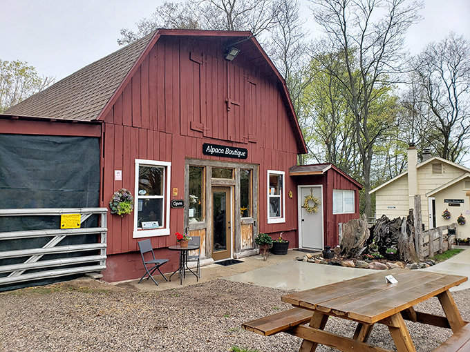 The rustic picnic table outside the boutique invites visitors to sit awhile and contemplate a simpler, alpaca-filled life.