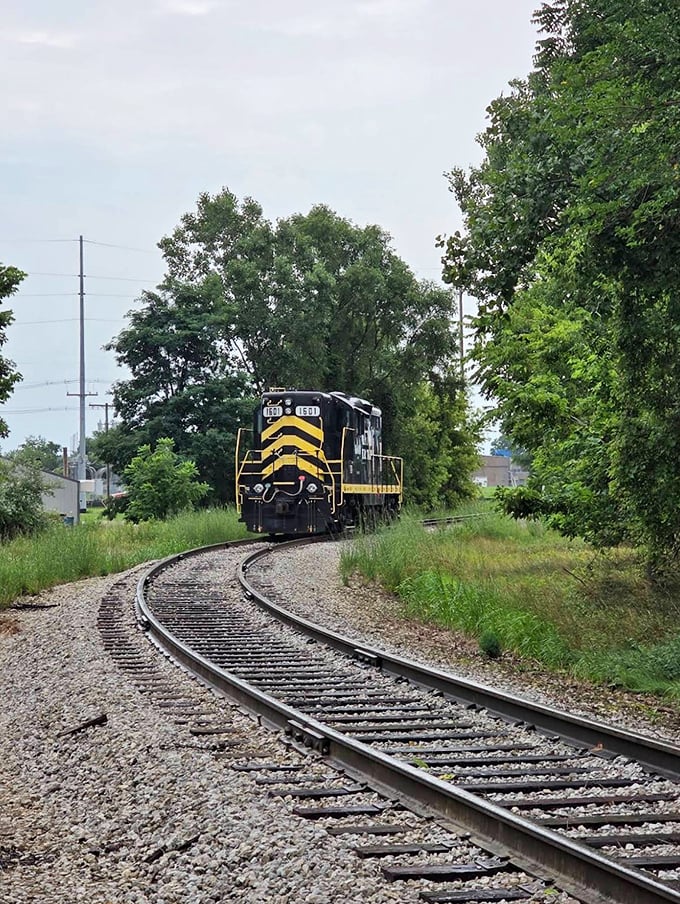 No. 1601 approaches around the bend, a reminder that trains don't just travel through space &ndash; they travel through our imagination.