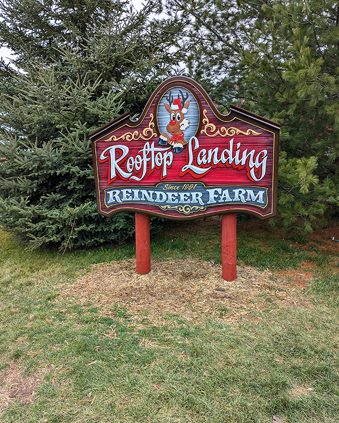 The Rooftop Landing sign nestled among evergreens promises North Pole magic in the heart of Michigan &ndash; no passport required.