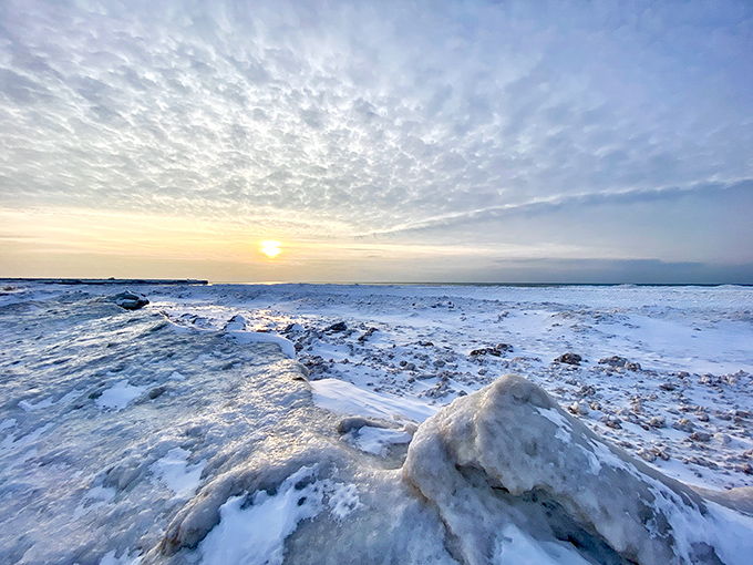 Ice shelves create temporary sculptures along the winter shoreline, their blue-white formations changing daily like nature's own installation art exhibit.