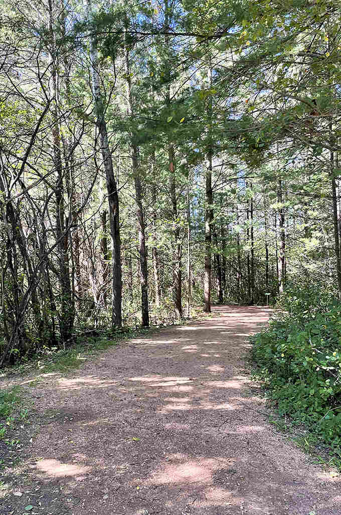 Winding trails invite exploration, with each bend promising new discoveries – artistic breadcrumbs leading deeper into wonder.