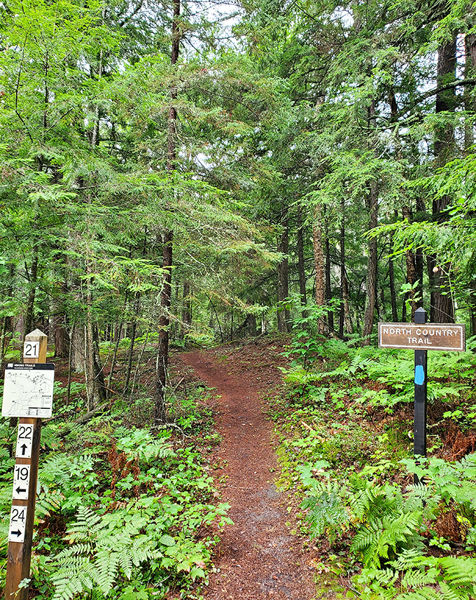 Follow the path less traveled and discover why sometimes getting lost is the best way to find yourself.