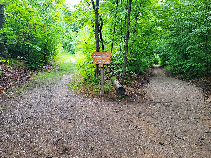 Trail junction signs offering choices like a "Choose Your Own Adventure" book &ndash; each path promising its own unique rewards.